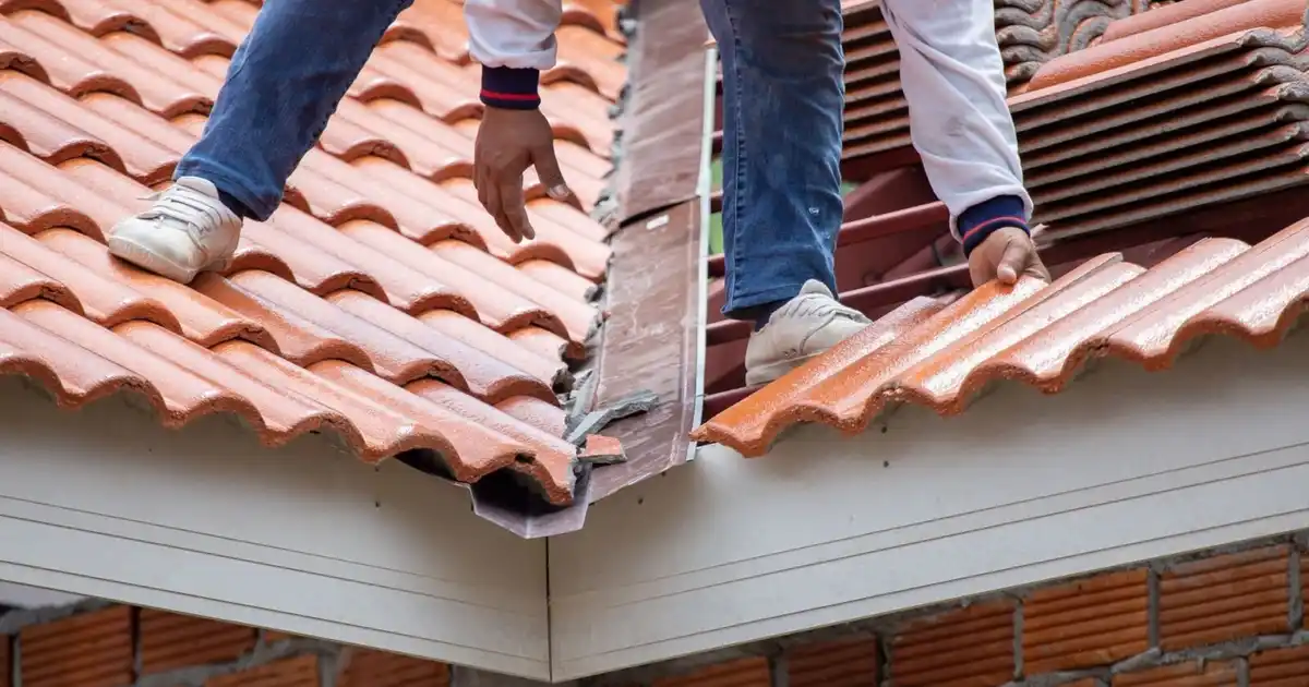 Concrete vs Clay Roof Tiles NZ | Tile Comparison 2026